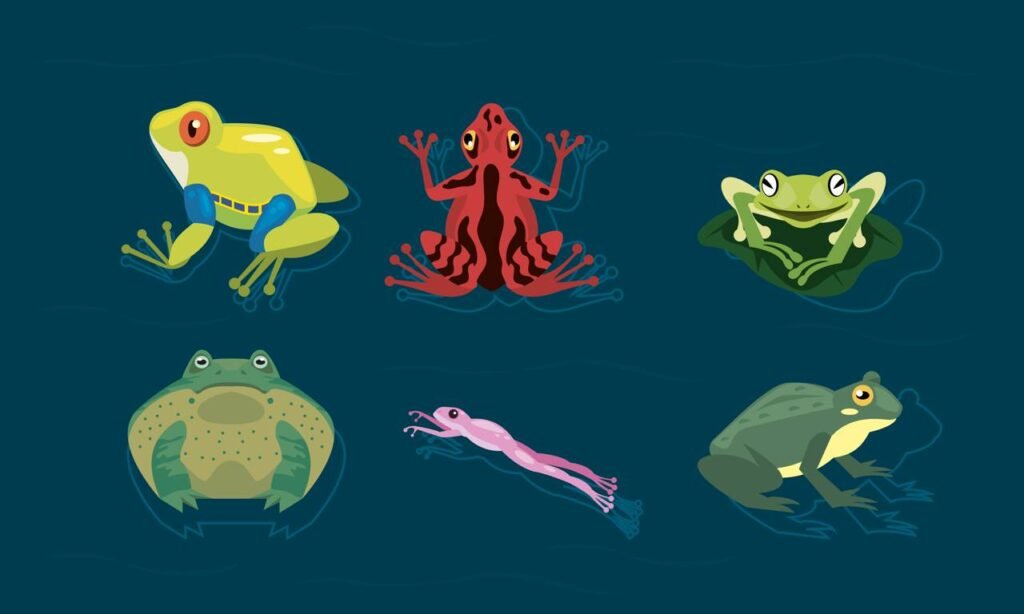 Frog Species Adapted to Weather: Masters of Environmental Flexibility ...